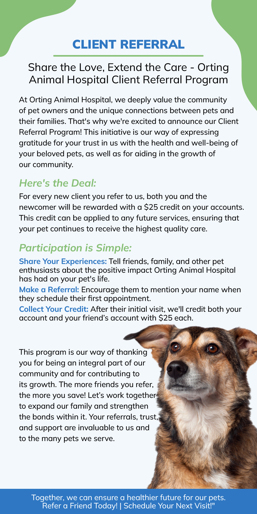 Promotions | Orting Animal Hospital Promotions | Orting Animal Hospital